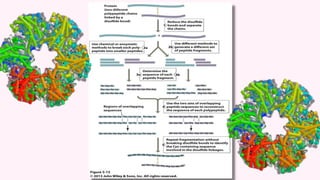 PROTEIN SEQ BGS052112.pptx