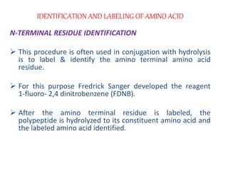 Protein seqencing by kk sahu | PPTX | Chemistry | Science