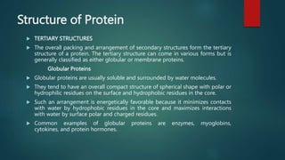 Protein Sequence and Structure Data.pptx | Chemistry | Science
