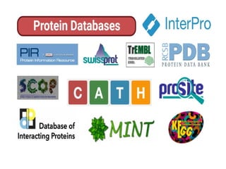 Protein sequence data bases in animals.pptx