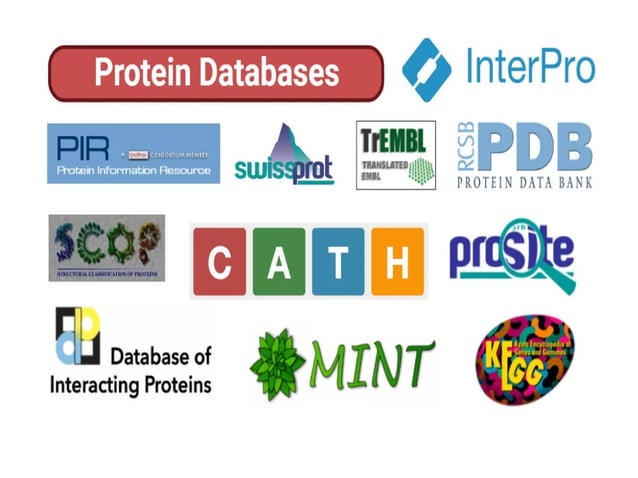 Protein sequence data bases in animals.pptx