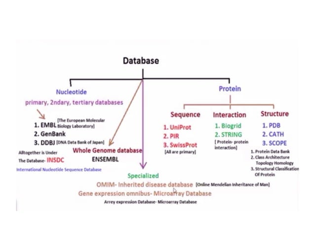 Protein sequence data bases in animals.pptx