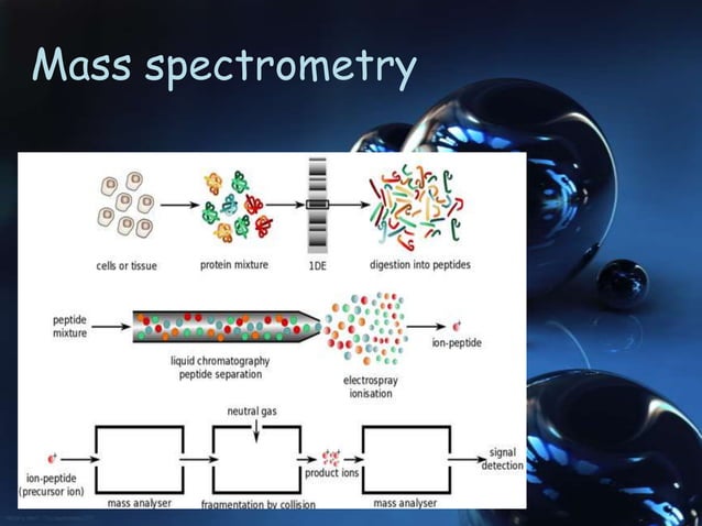 Protein sequencing | PPT