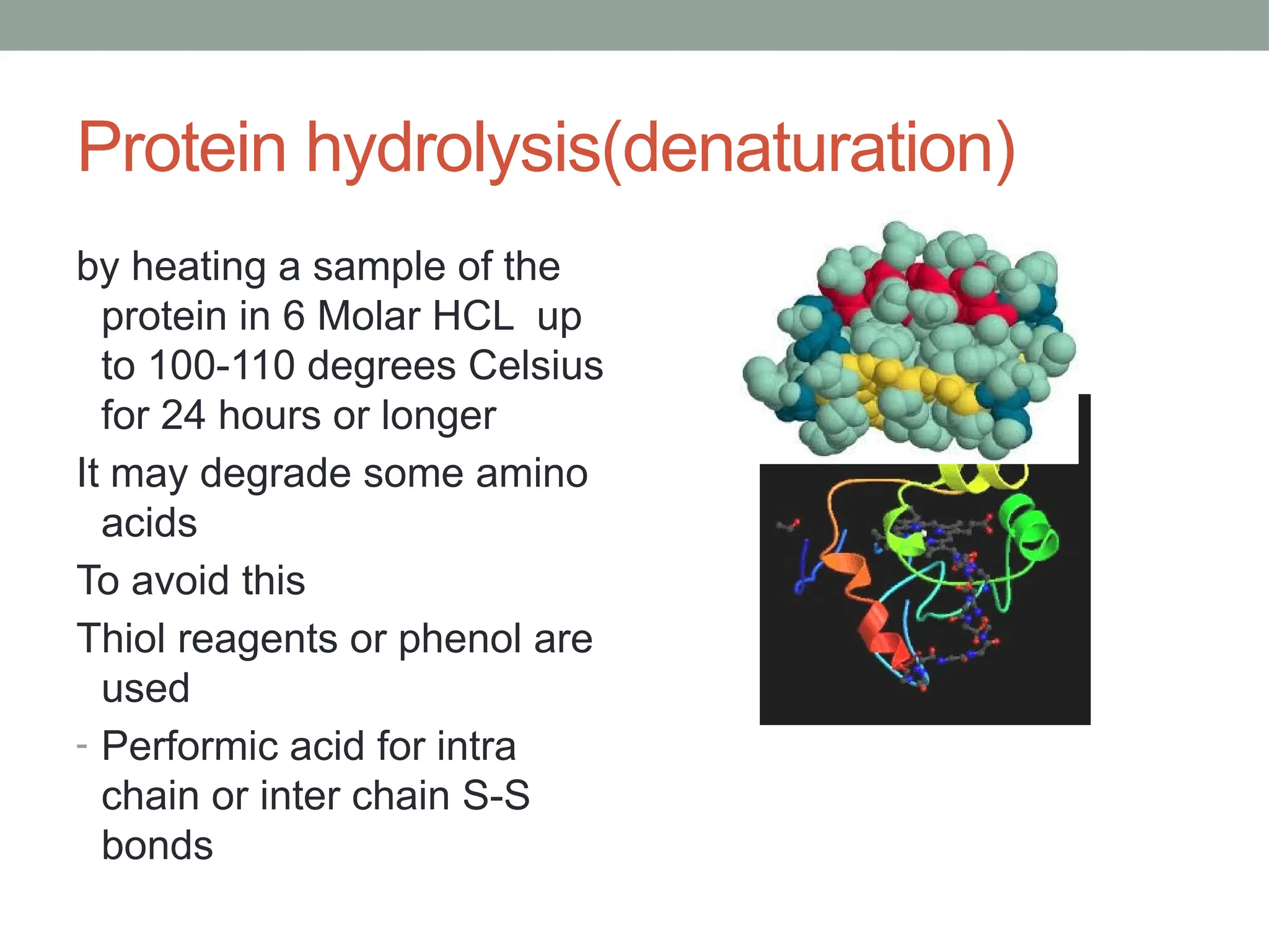 proteinsequencing powerppint presentation | PPTX