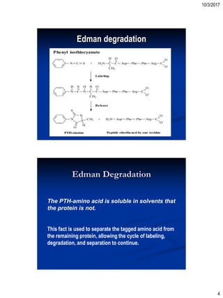 Protein sequencing | PDF