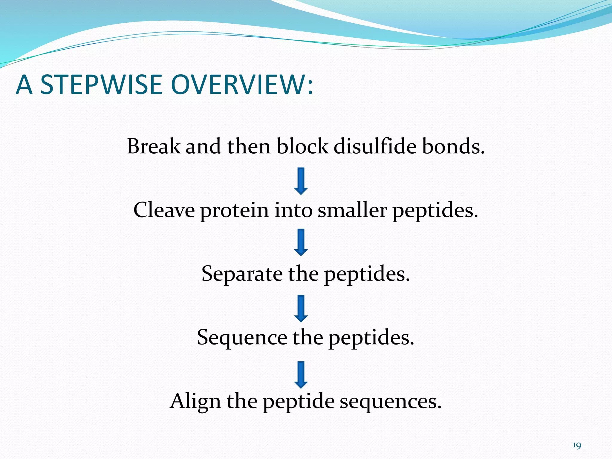 Protein Sequencing Strategies | PPTX