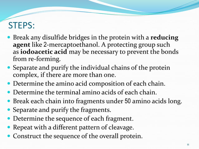 Protein Sequencing Strategies | PPTX
