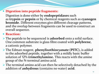 Protein Sequencing Strategies | PPTX