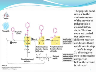 Protein Sequencing Strategies | PPTX