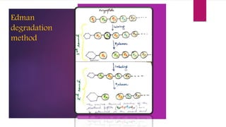 Protein sequencing | PPTX