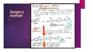 Protein sequencing | PPTX