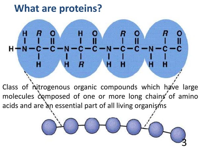 Protein sequencing | PPTX | Chemistry | Science