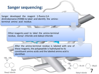Protein sequencing | PPTX