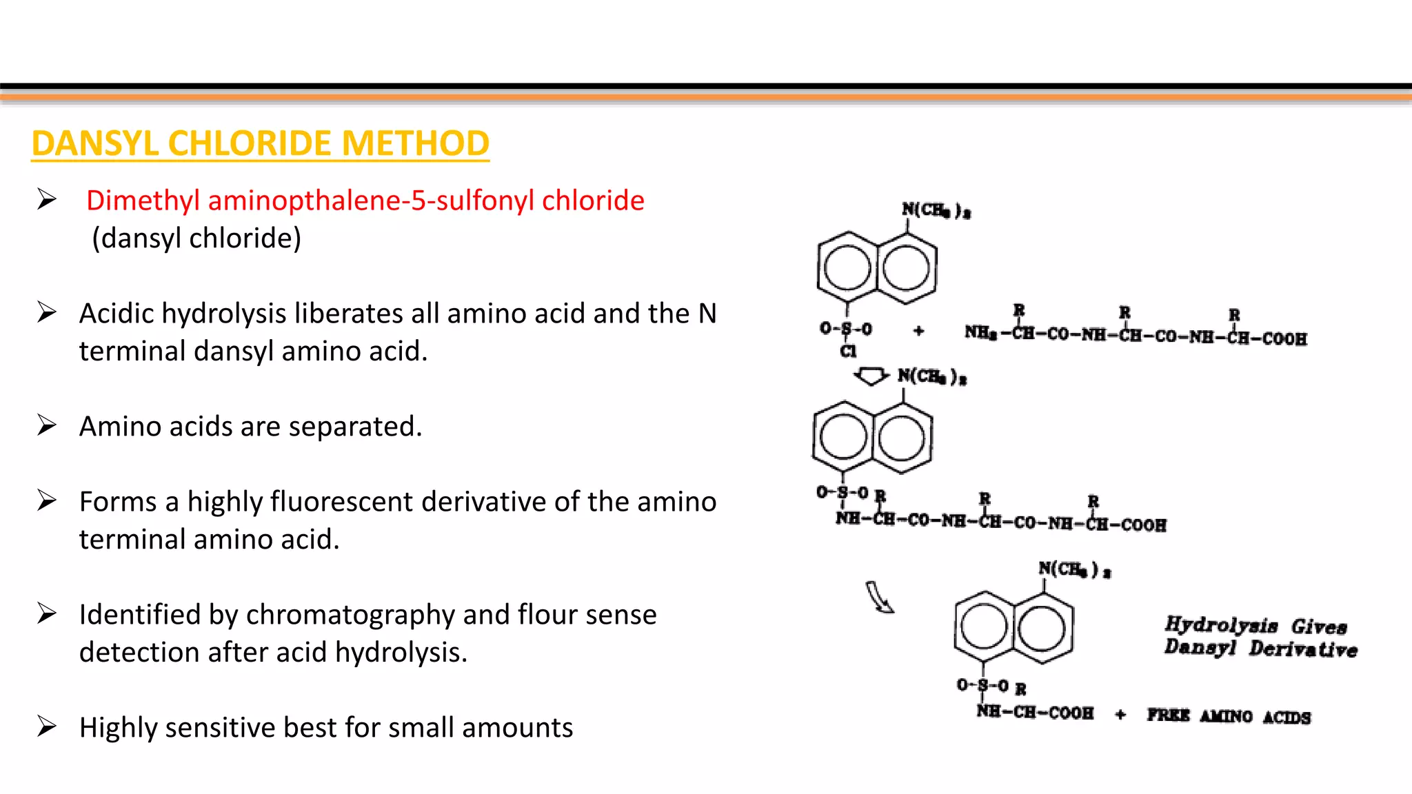 Protein sequencing by kk sahu | PPTX