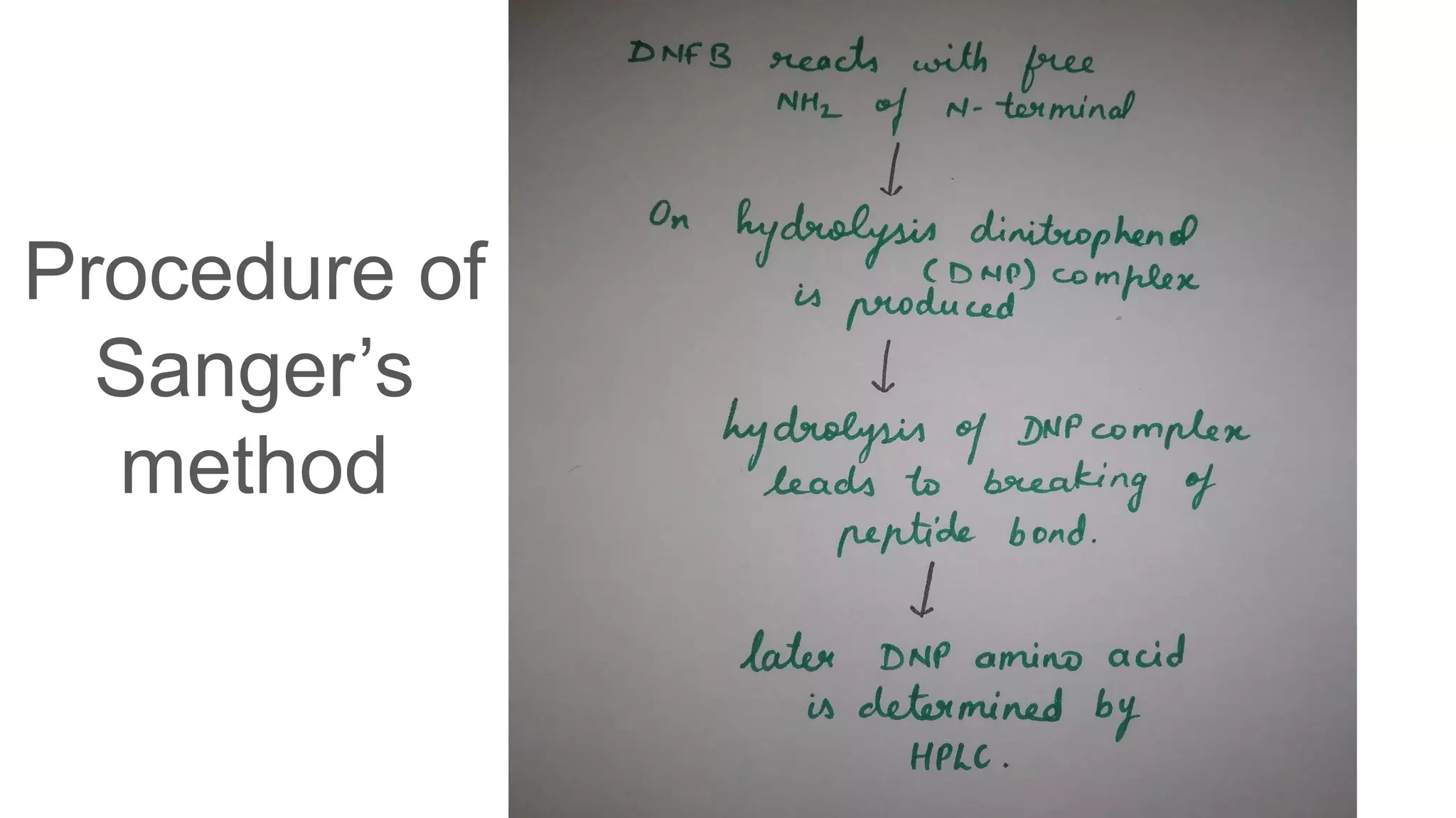 Protein sequencing | PPT