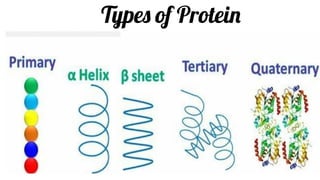 Protein sequencing | PPT