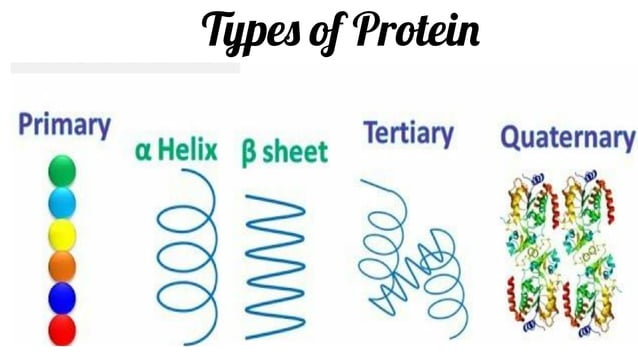 Protein sequencing | PPT