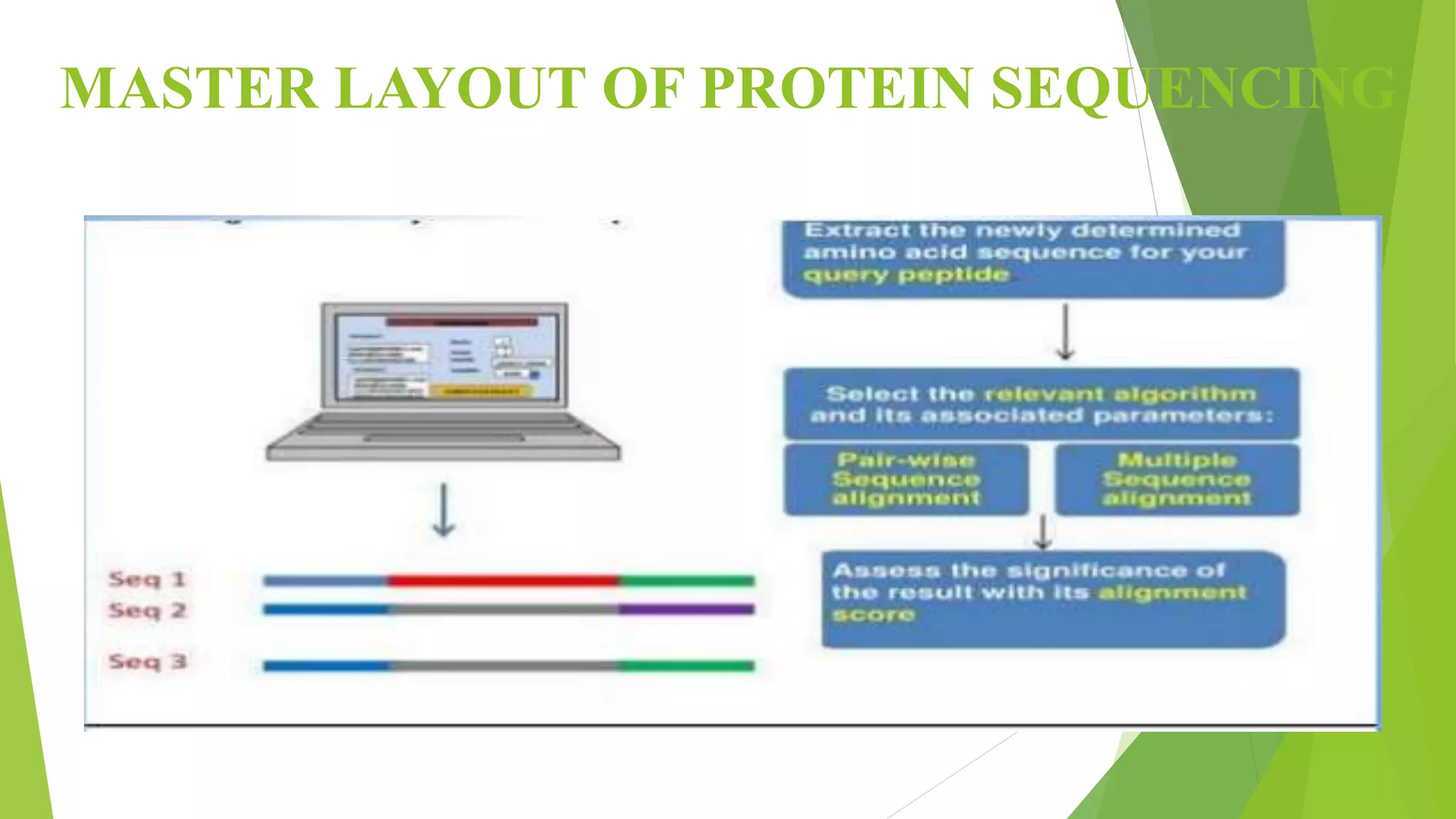 Protein Sequencing And Its Application In Bioinformatics Pptx