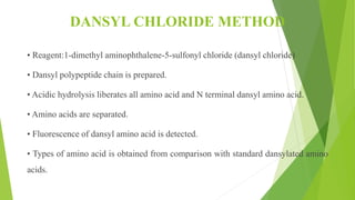 Protein sequencing and its application in bioinformatics | PPTX