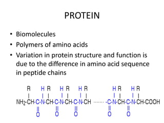 Protein sequencing presentation | PPTX