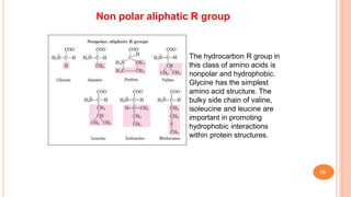 Proteins for class | PDF | Chemistry | Science