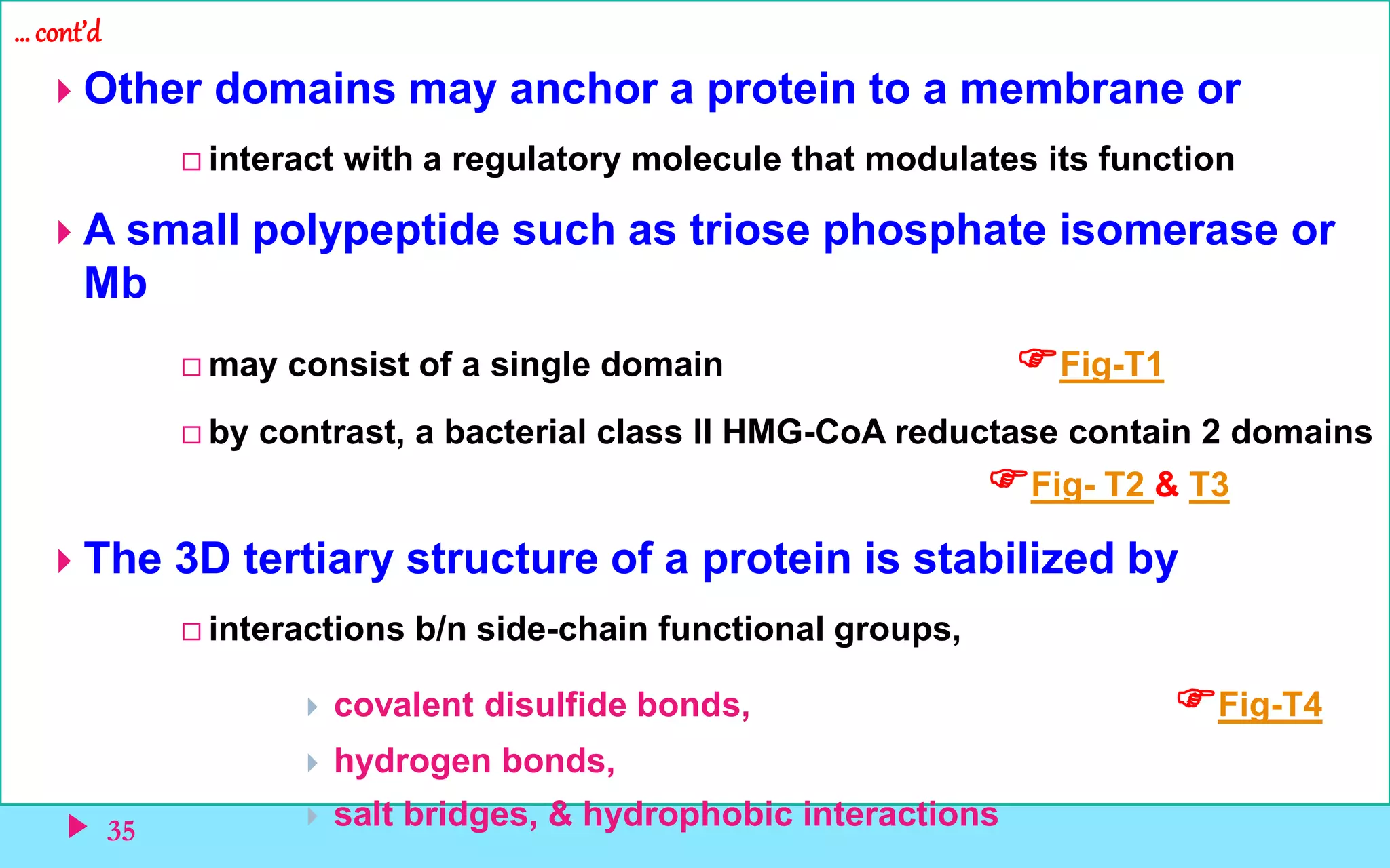 Proteins Handout.pptx | Chemistry | Science