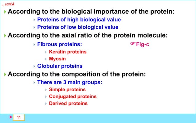 Proteins Handout.pptx | Chemistry | Science