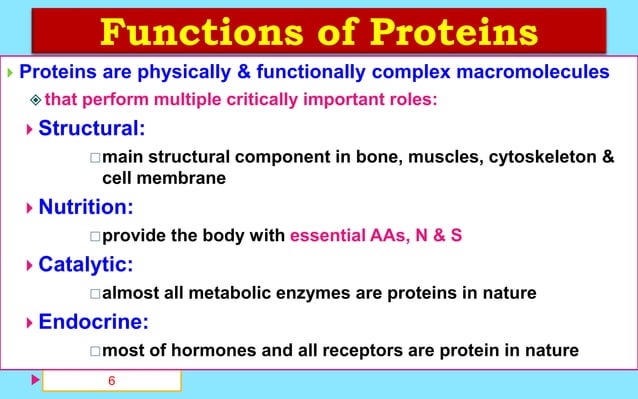 Proteins Handout.pptx | Chemistry | Science