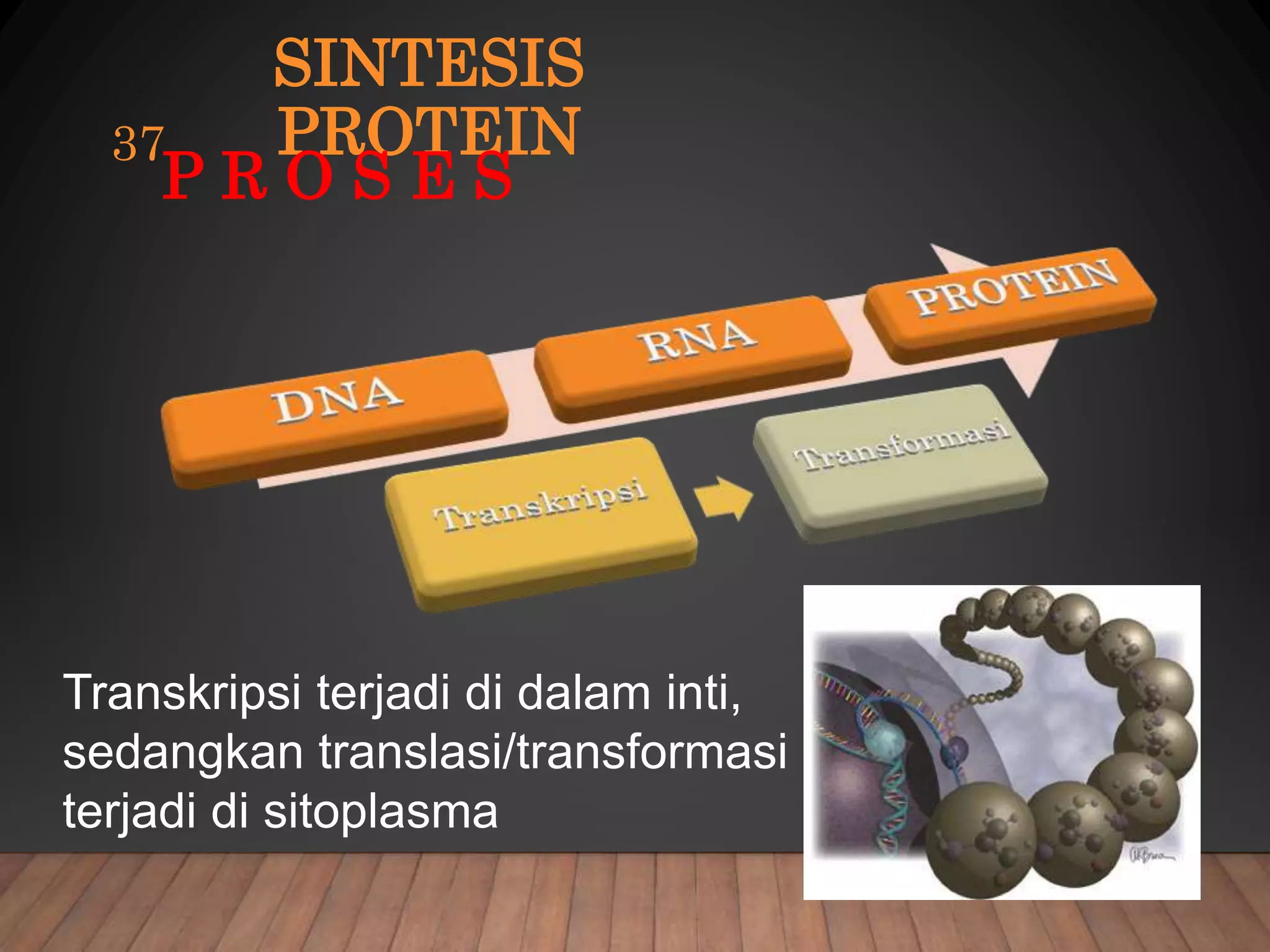 Protein, sintesis protein, metabolisme protein Blok 6 2021.pptx