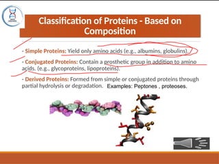 Proteins_Introduction_and_Classification.pptx