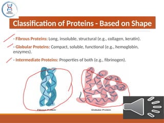 Proteins_Introduction_and_Classification.pptx