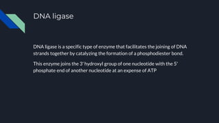 Proteins involved in DNA replication (25).pptx