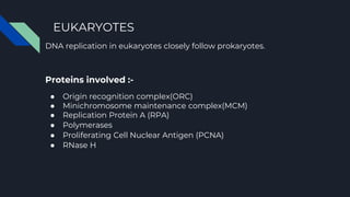 Proteins involved in DNA replication (25).pptx