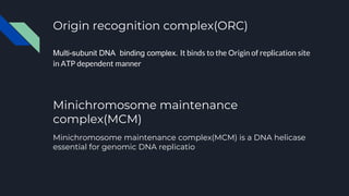 Proteins involved in DNA replication (25).pptx