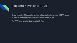 Proteins involved in DNA replication (25).pptx