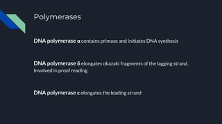 Proteins involved in DNA replication (25).pptx