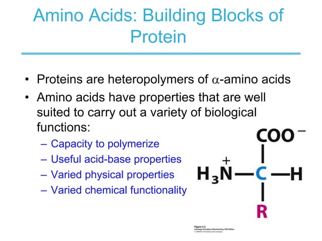 Amino acids, peptides and proteins: Structure and naming of amino acids ...