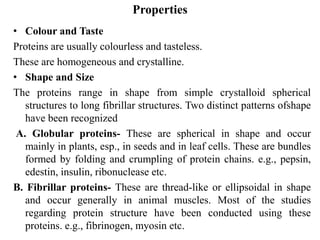 PROTEINS LECTURE_1.ppt