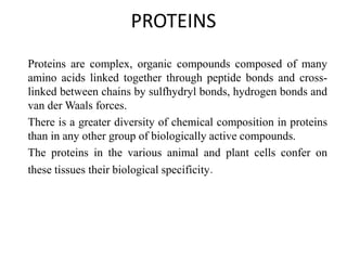 PROTEINS LECTURE_1.ppt
