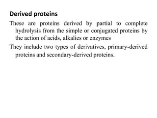 PROTEINS LECTURE_1.ppt