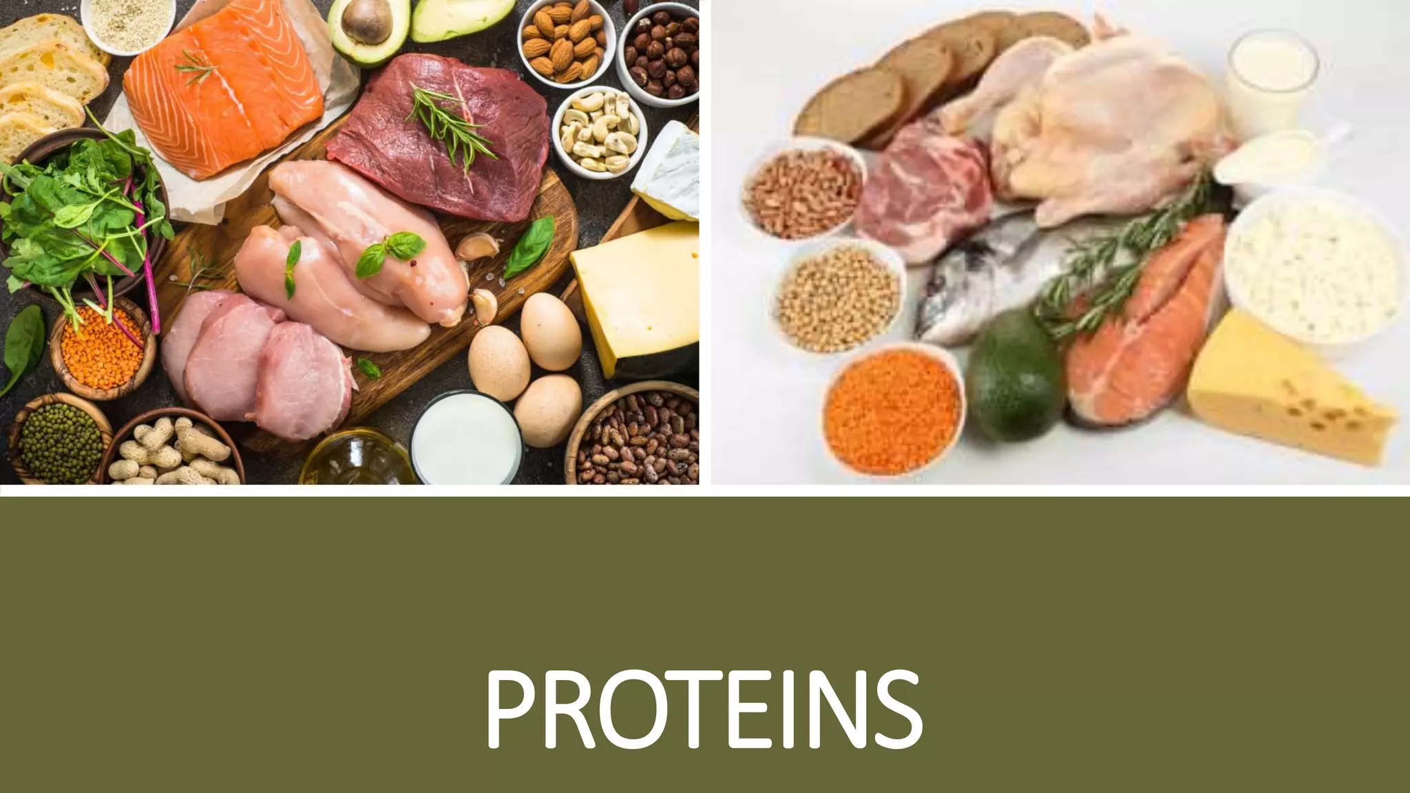 PROTEINS & LEVELS OF STRUCTURAL CONFORMATION pptx.pptx