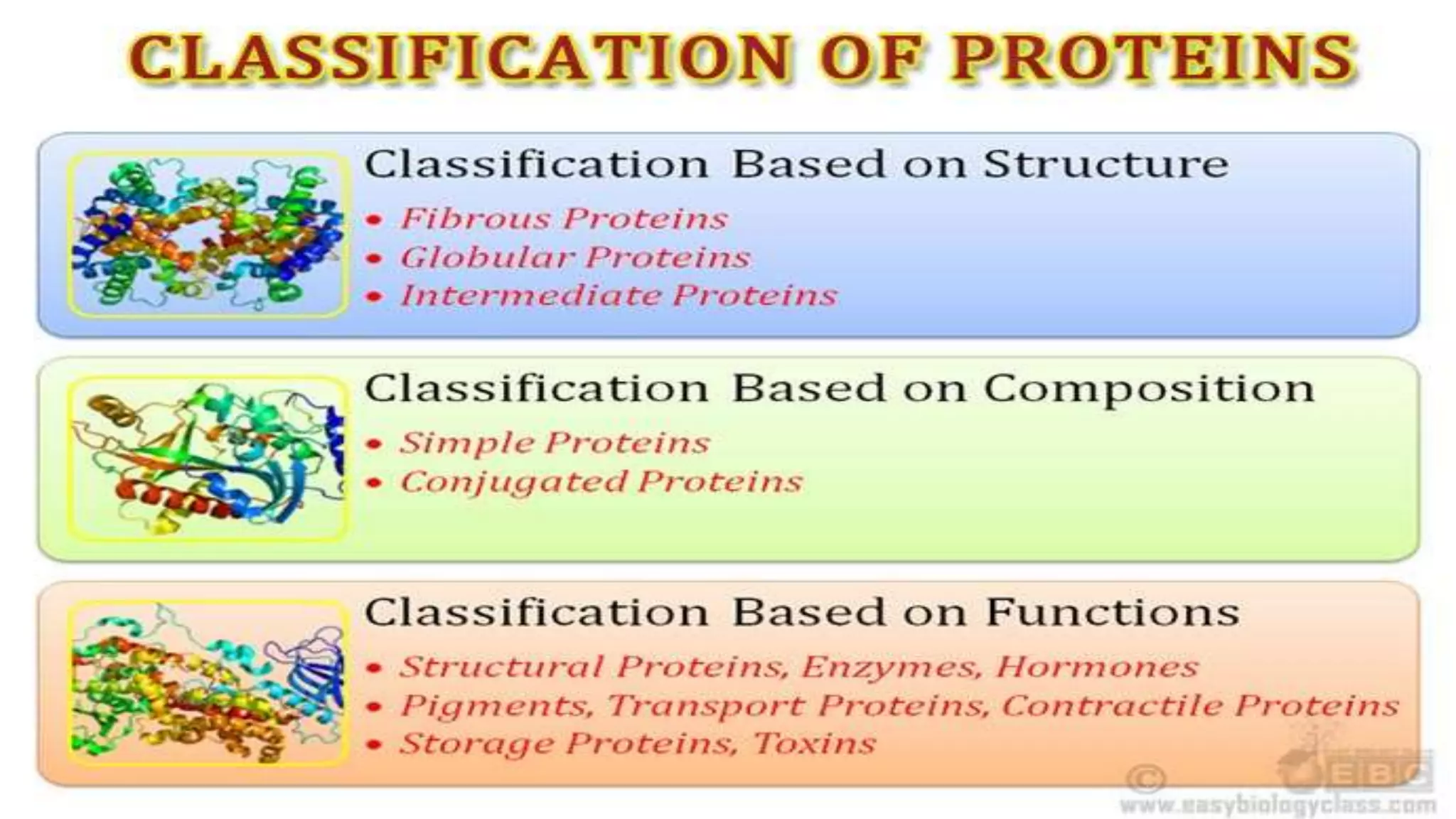 PROTEINS & LEVELS OF STRUCTURAL CONFORMATION pptx.pptx