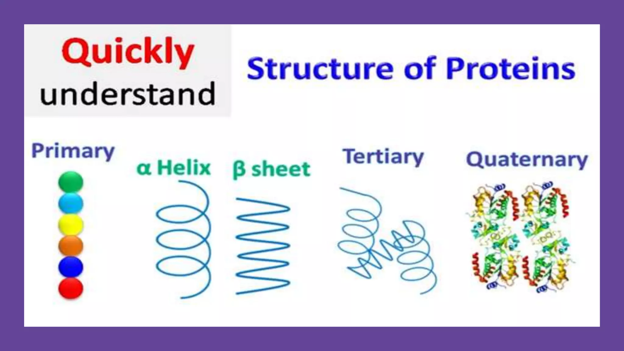 PROTEINS & LEVELS OF STRUCTURAL CONFORMATION pptx.pptx