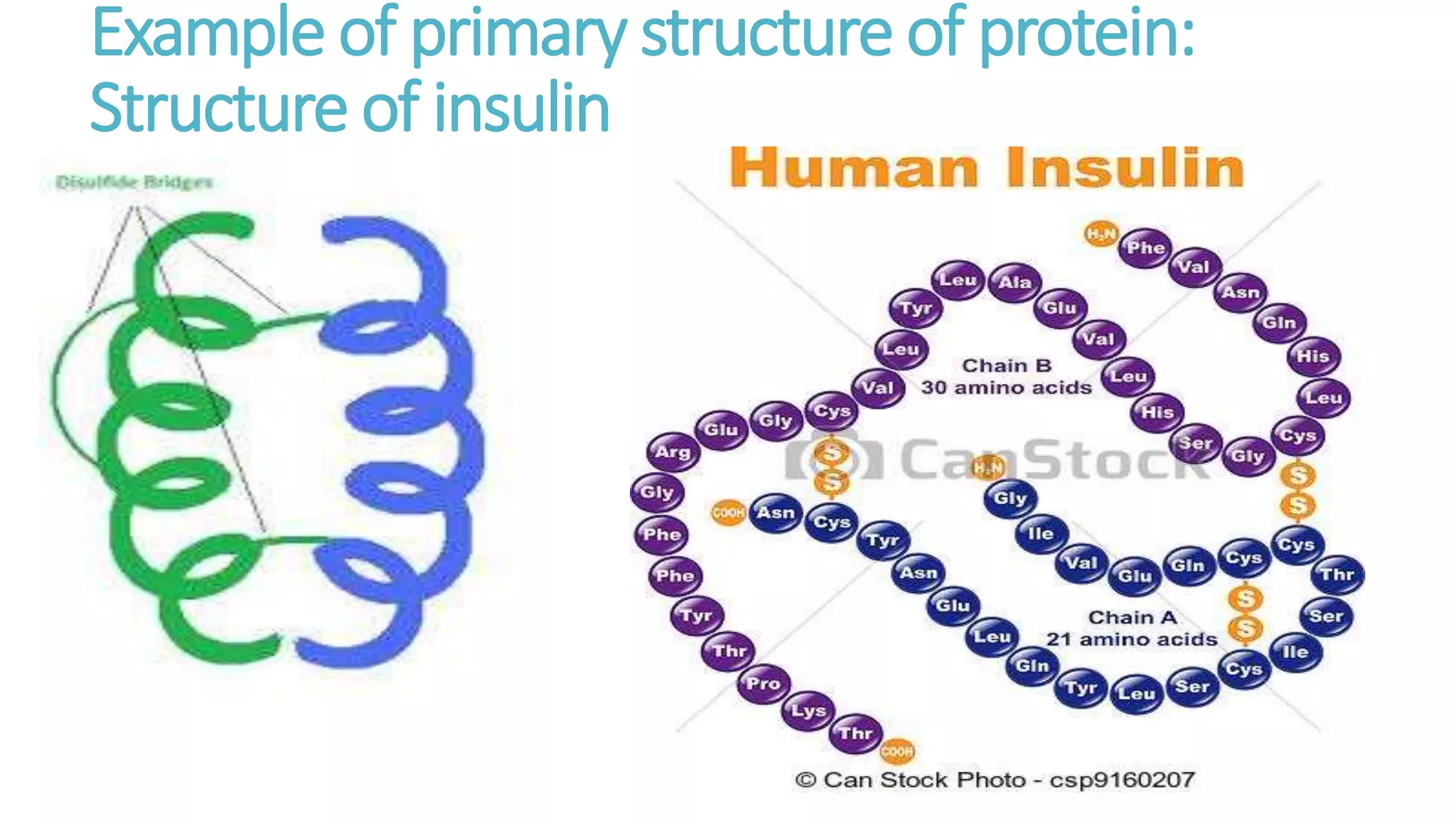 PROTEINS & LEVELS OF STRUCTURAL CONFORMATION pptx.pptx