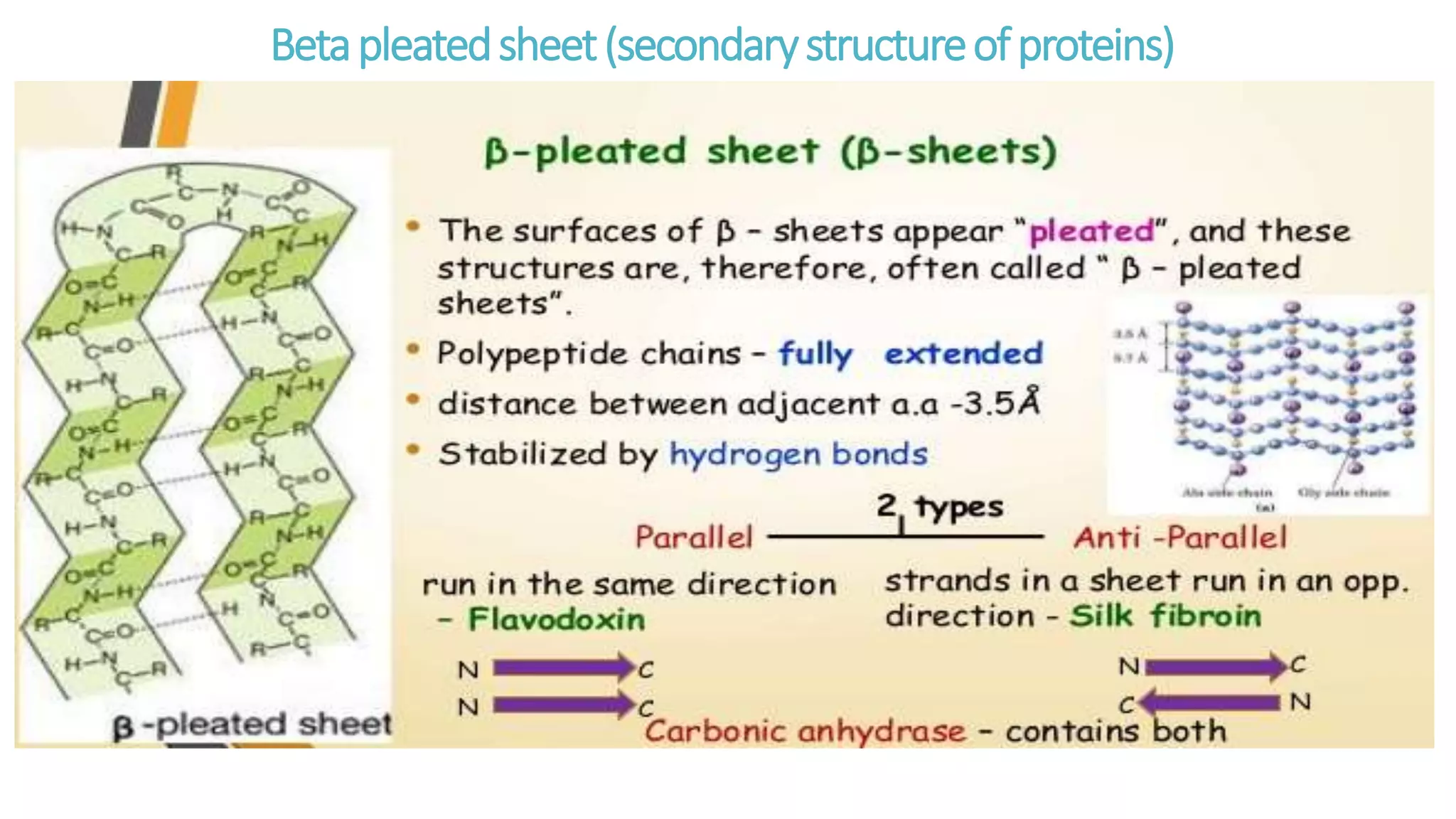 PROTEINS & LEVELS OF STRUCTURAL CONFORMATION pptx.pptx