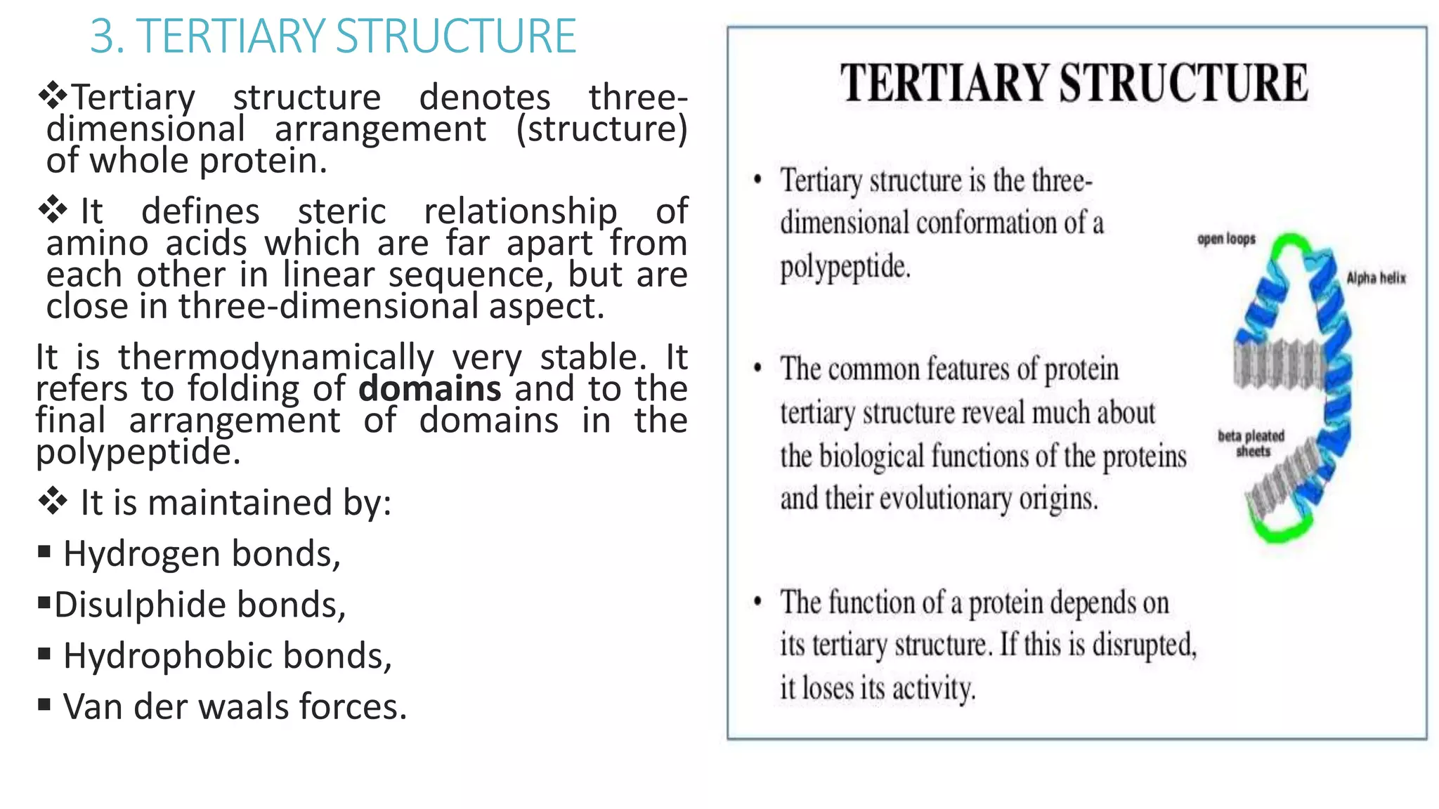 PROTEINS & LEVELS OF STRUCTURAL CONFORMATION pptx.pptx