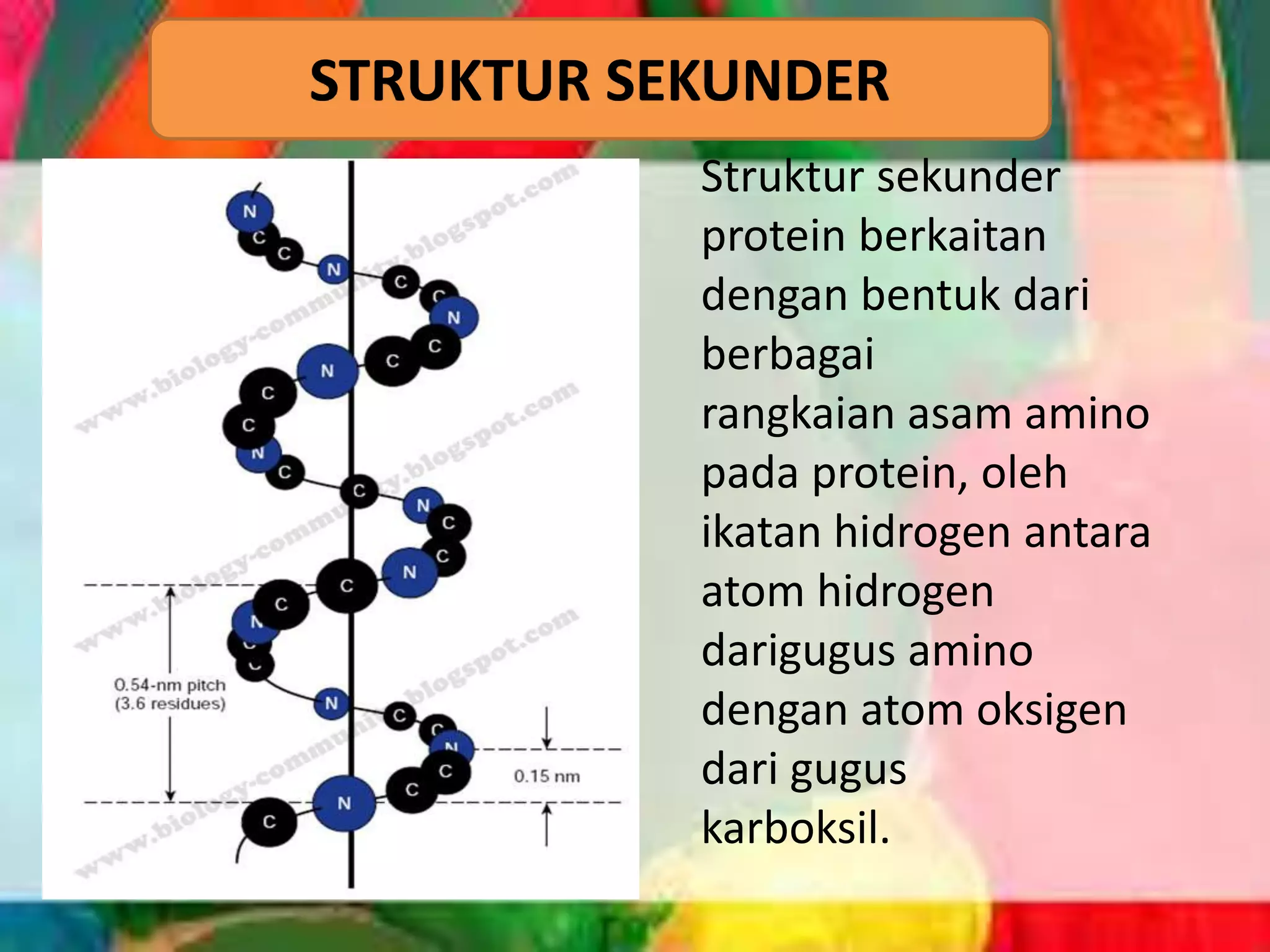 protein KIMIA | PPTX