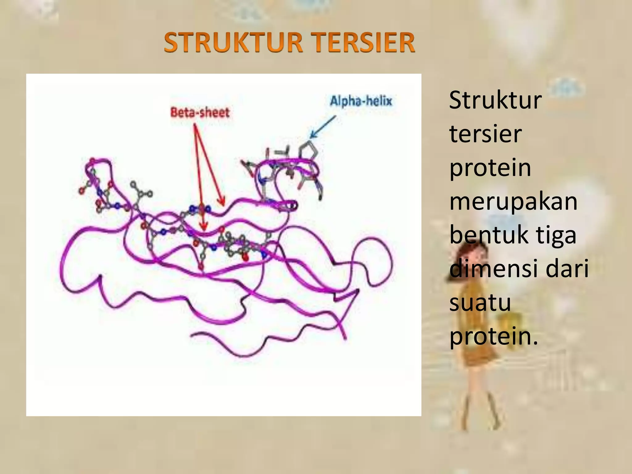 protein KIMIA | PPTX