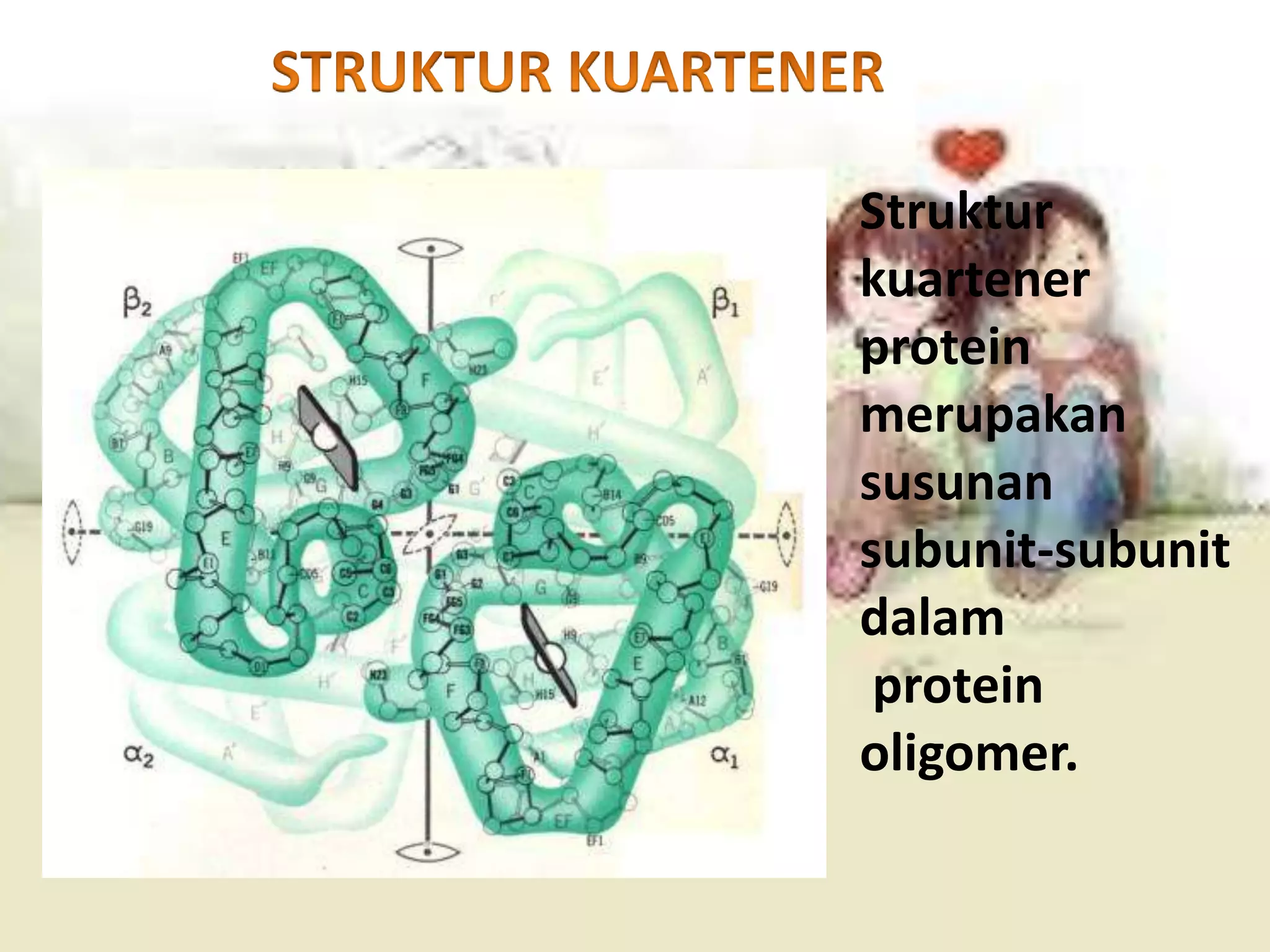 protein KIMIA | PPTX