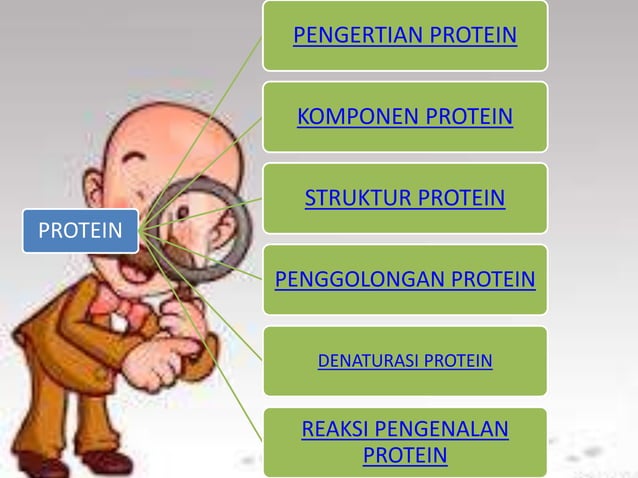 protein KIMIA | PPTX